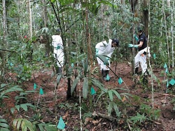 Hallan más de 180 fosas comunes en Colombia