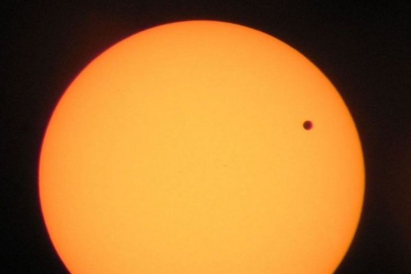 Tránsito de Venus entre el Sol y la Tierra podrá observarse en ...
