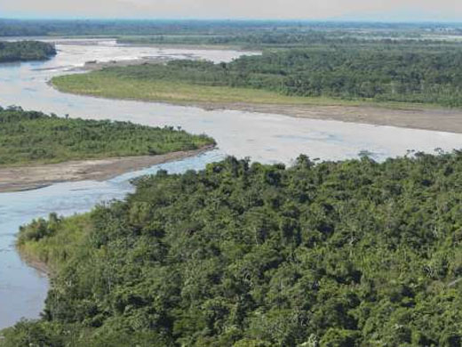 Observadores de Unasur y OEA califican de histórica consulta boliviana ...