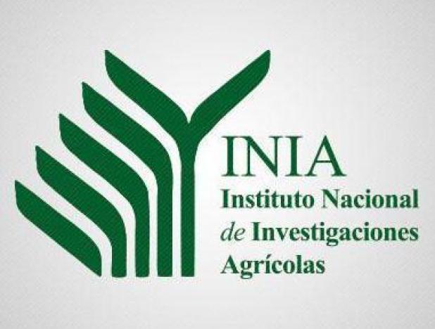 Aragua: Realizan mesa técnica para la aprobación del Reglamento Técnico ...