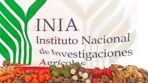INIA busca cubrir demanda nacional de semillas con proyecto de ...