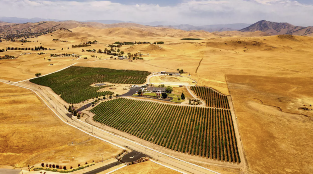 Un informe de la ONU plantea un escenario apocalíptico para la ...