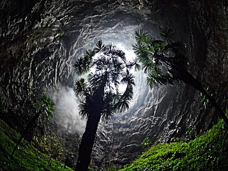 (VIDEO) China: Descubren un mundo subterráneo que podría tener especies ...