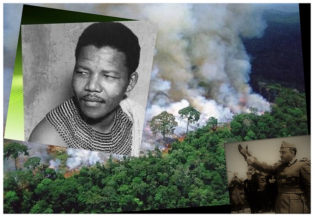 Efemérides del 18 de Julio: Día de Mandela – Científicos lanzan llamado ...